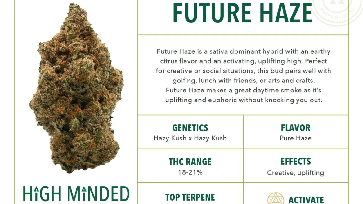 Strain Spotlight: Future Haze - High Minded