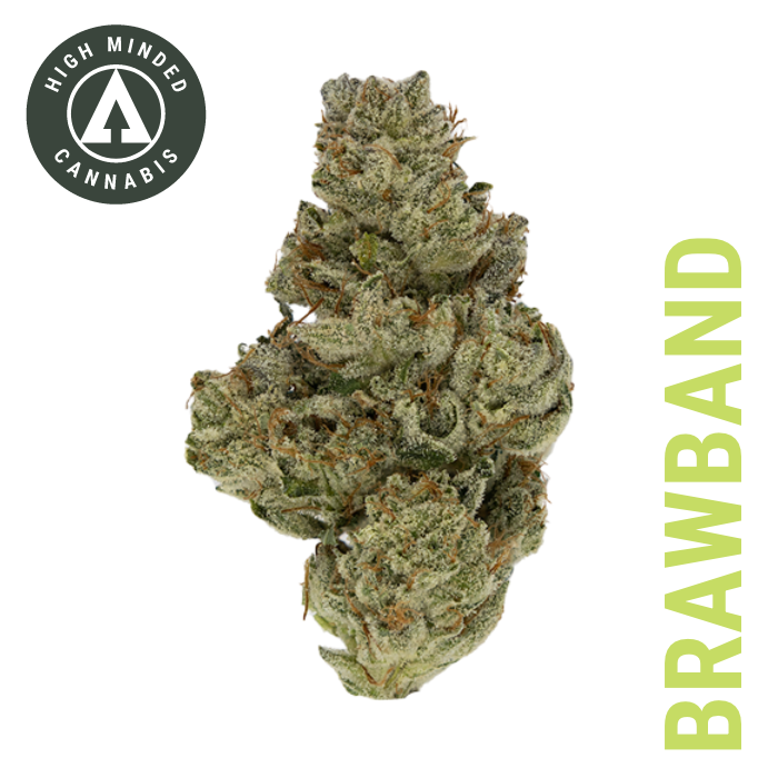Brawband - High Minded