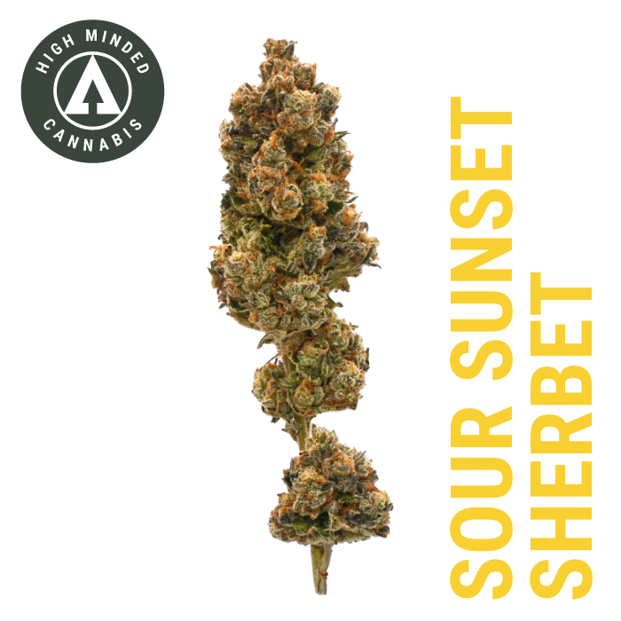 Sour Sunset Sherbet Weed Strain Info - High Minded Creations