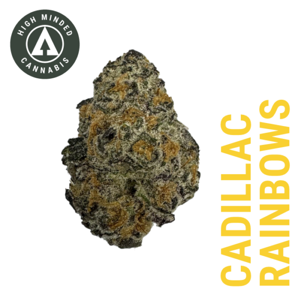 Cadillac Rainbows Weed Strain Info - High Minded Creations